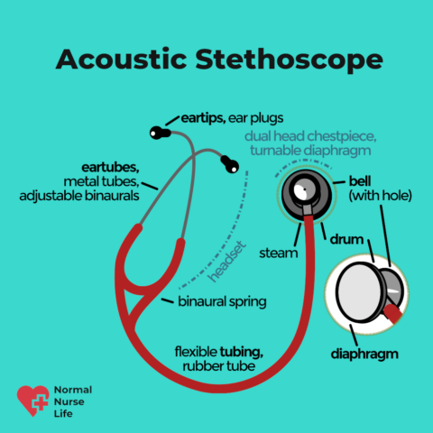 What is a Stethoscope? #1 the Best Thorough Answers for You